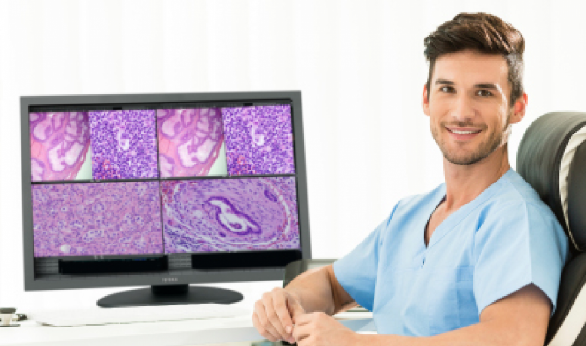 JVC Displays - Findings monitor - Rein Medical